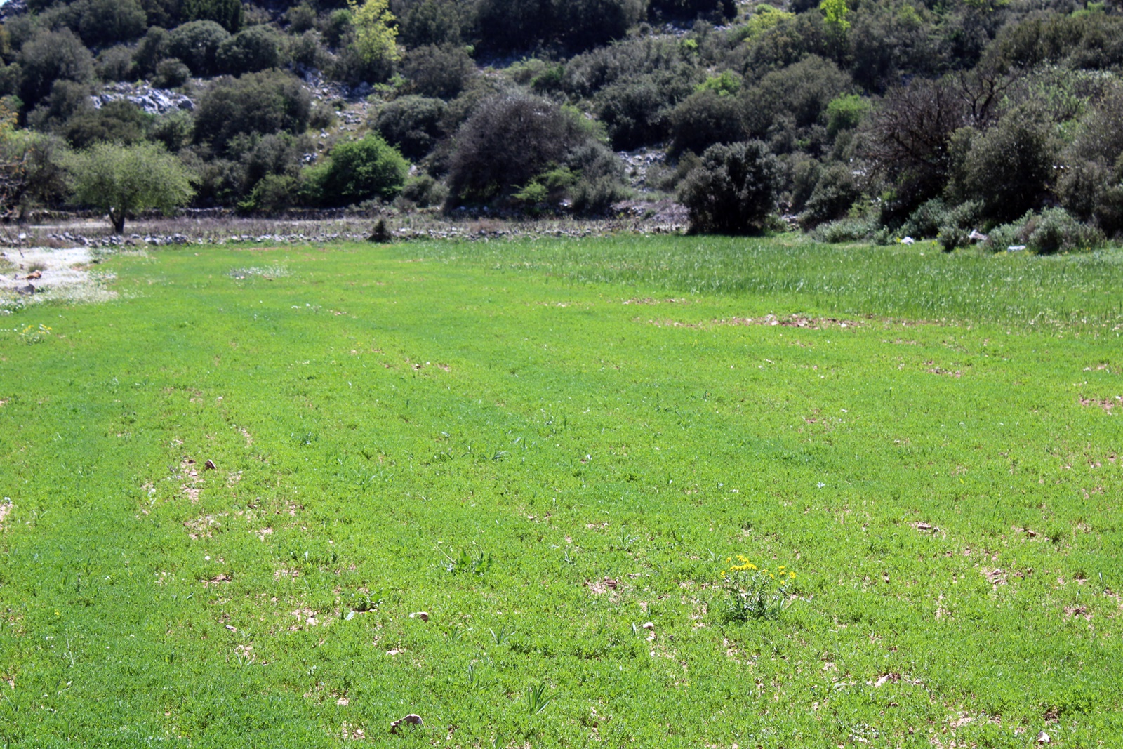 11_oreini_lefkada_fakoxorafa