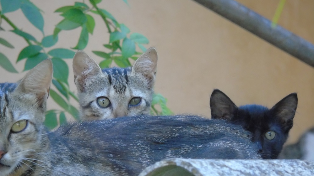 12_lefkada