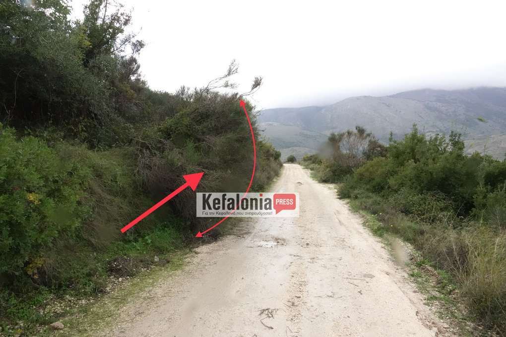 ΑΝΔΡΙΟΛΑΤΑ-ΑΤΥΧΗΜΑ-ΠΤΩΣΗ-2