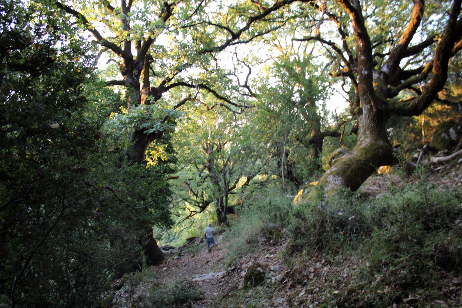 IMG_9246