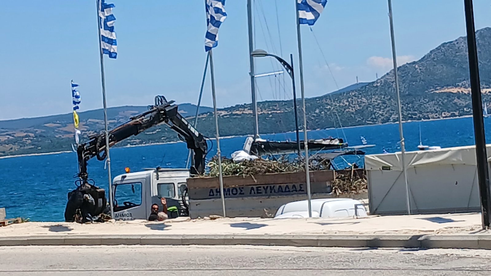 κλαδεματα