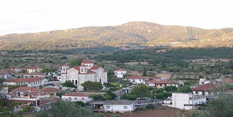 μαχαιρας_χηρομερου